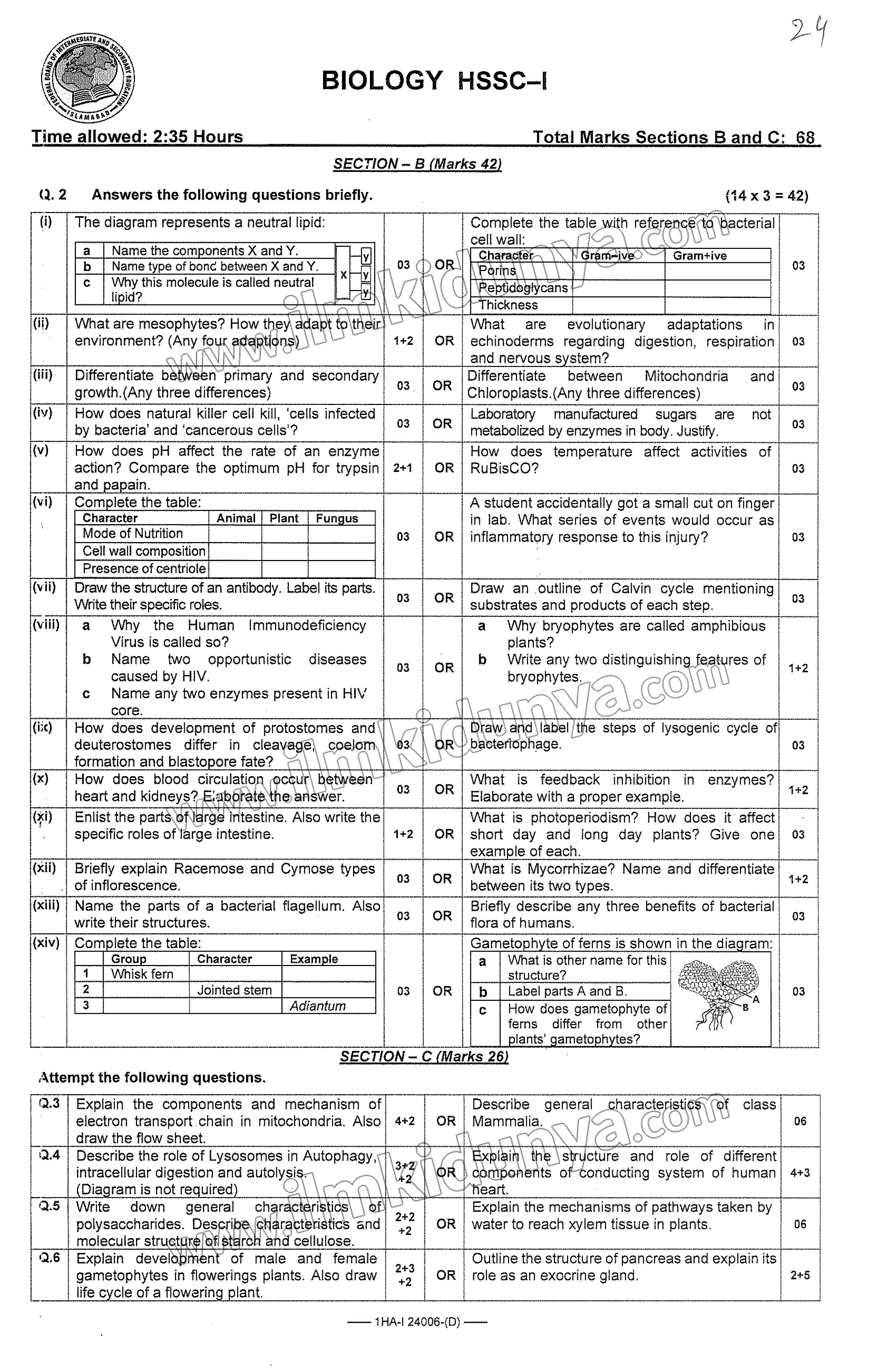 Past Paper 2024 11th Class Federal Board Biology Group II Subjective