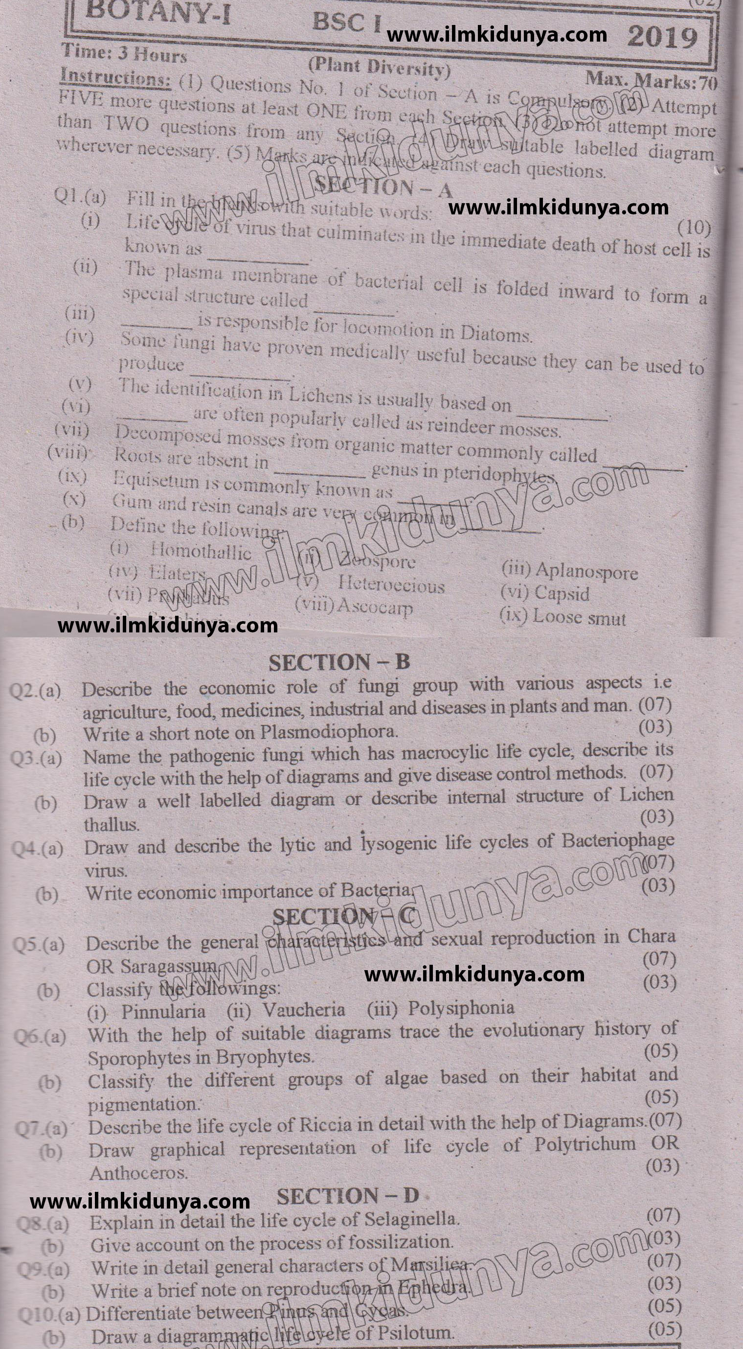 Past Paper 2019 Karachi University B.Sc Part 1 Botany I Subjective