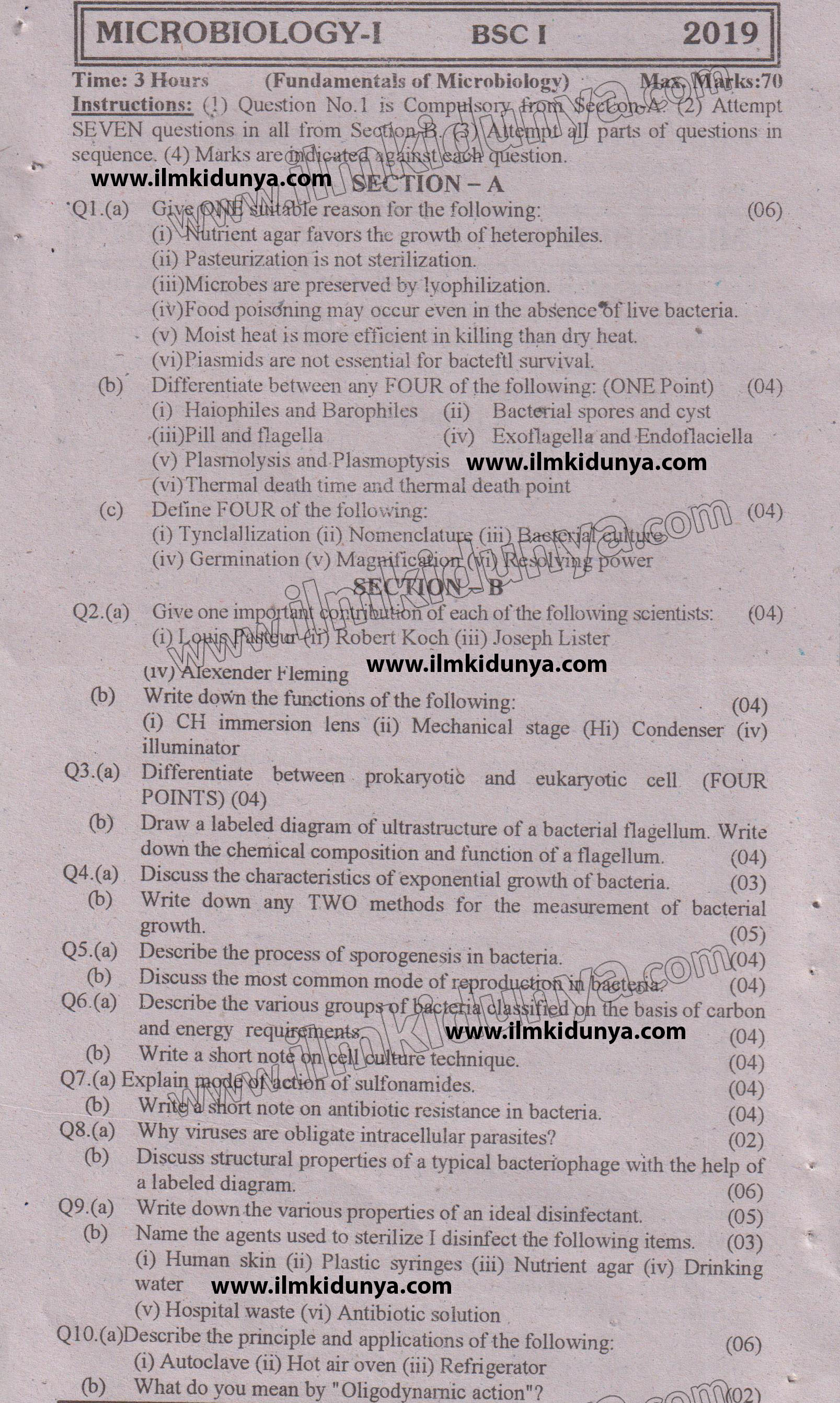 Past Paper 2019 Karachi University B.Sc Part 1 Microbiology I Subjective